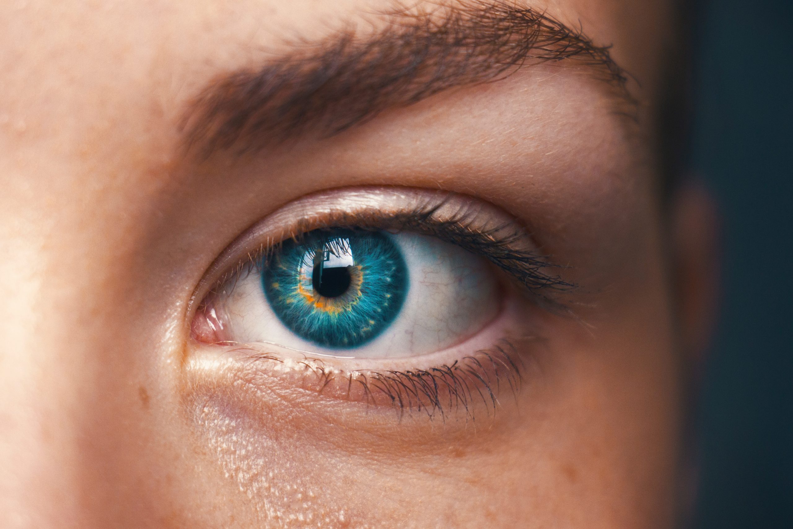 Improve Your Eyesight with These 7 Nutrients & 50 Foods - BioTrust