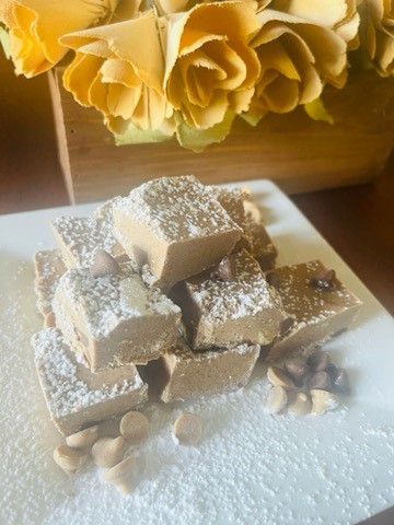 Healthy Chocolate Peanut Butter Protein Fudge Recipe - BioTrust