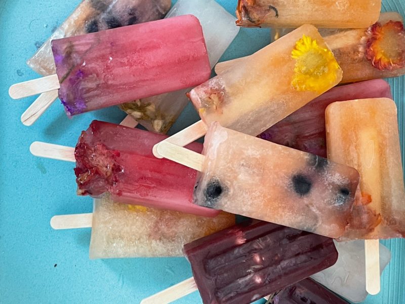 DIY Electrolyte-Rich Popsicle Recipes (made for summer) - BioTrust